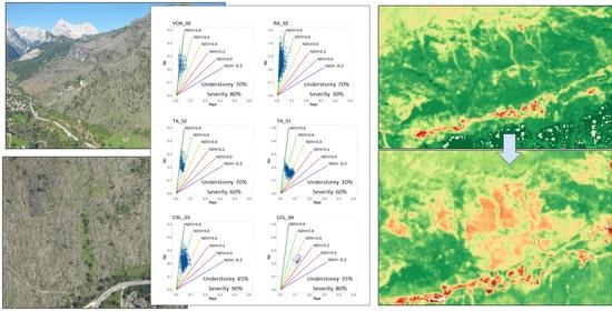 Remote Sensing | Free Full-Text | Responding to Large-Scale Forest ...