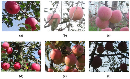A Real-Time Apple Targets Detection Method for Picking Robot Based on ...