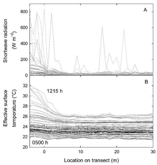 Dynamic Microclimate Boundaries across a Sharp Tropical Rainforest ...