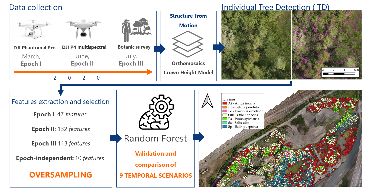 Remote Sensing | Free Full-Text | Mapping Riparian Habitats of Natura 2000 Network (91E0*, 3240 ...