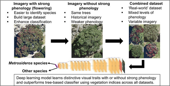 Remote Sensing Free Full Text Deep Learning And Phenology Enhance