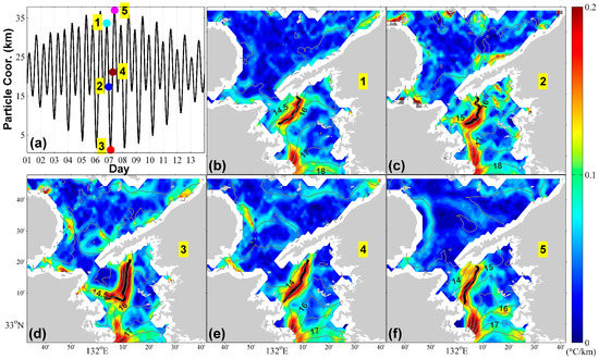 The Intra-Tidal Characteristics of Tidal Front and Their Spring–Neap ...