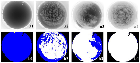 Day and Night Clouds Detection Using a Thermal-Infrared All-Sky-View Camera