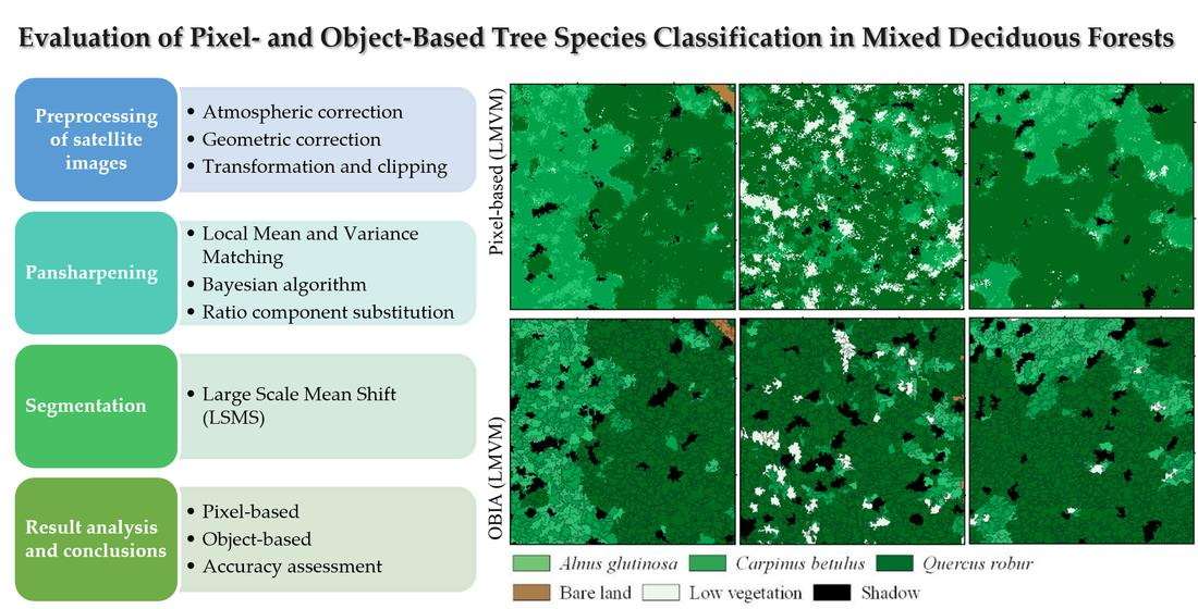 Remote Sensing | Free Full-Text | An Evaluation of Pixel- and Object-Based Tree Species ...
