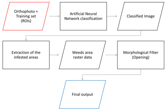 Remote Sensing | Free Full-Text | Can Commercial Low-Cost Drones and ...