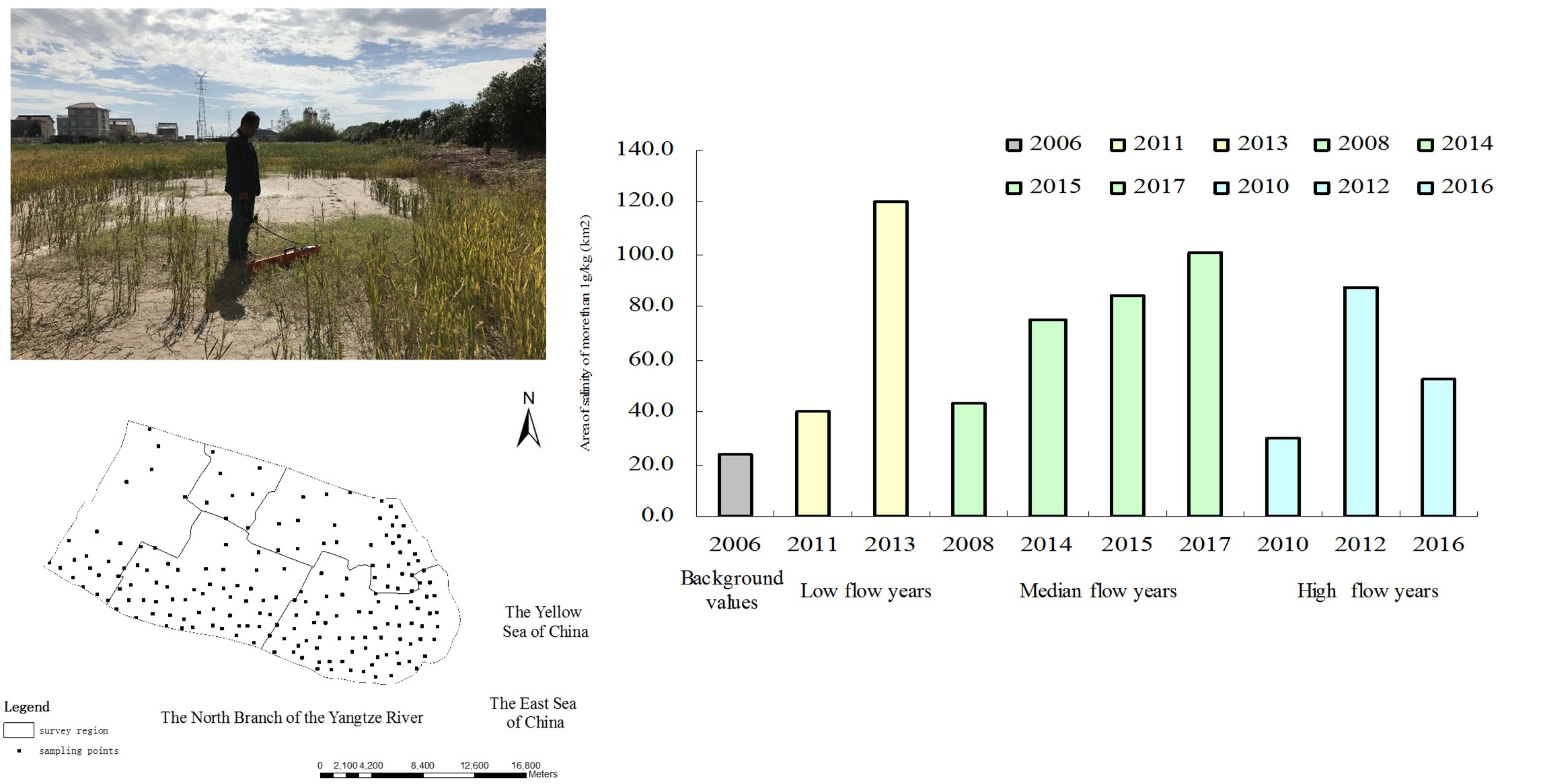 Remote Sensing | Free Full-Text | Spatial and Temporal Variability of Soil Salinity in the ...