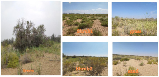 Remote Sensing | Free Full-Text | A Hybrid Approach of Combining Random ...