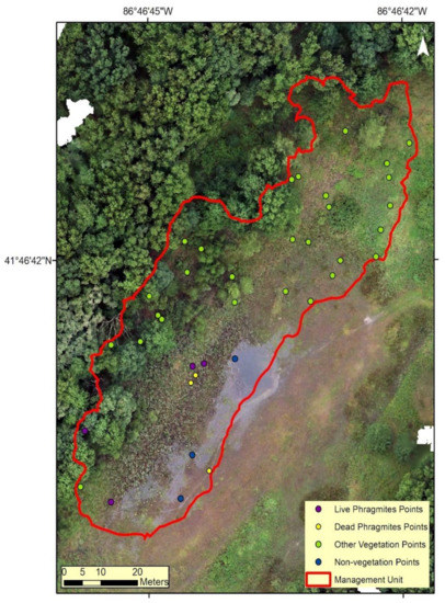 Using Uncrewed Aerial Vehicles for Identifying the Extent of Invasive ...