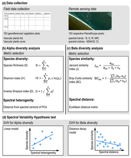 Measuring Alpha and Beta Diversity by Field and Remote-Sensing Data: A ...