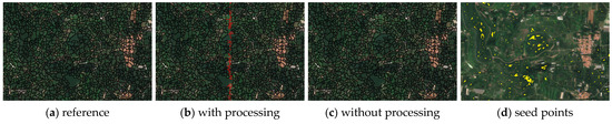 Remote Sensing | Free Full-Text | A Strategy of Parallel Seed-Based Image Segmentation ...