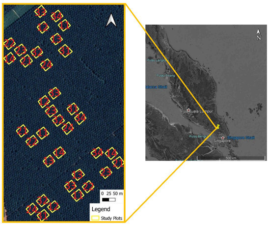 Plot-Based Classification of Macronutrient Levels in Oil Palm Trees ...