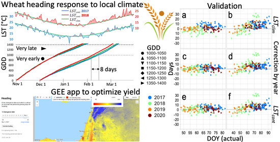 Remote Sensing Free Full Text Using Satellite Data To Optimize Wheat Yield And Quality Under