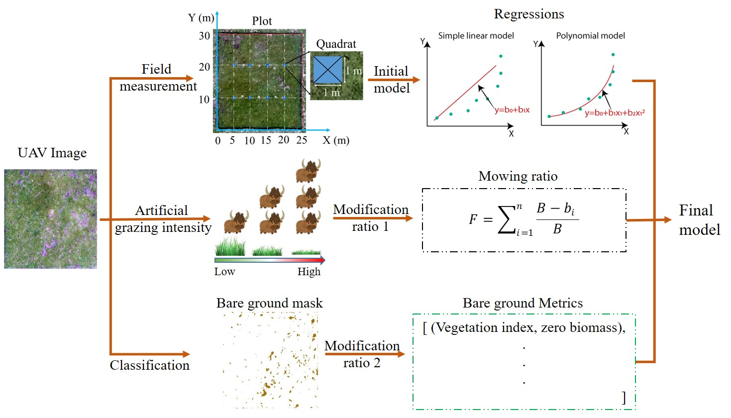 Remote Sensing | Free Full-Text | Improved Estimation of Aboveground ...