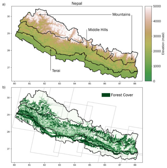 Shedding New Light on Mountainous Forest Growth: A Cross-Scale ...