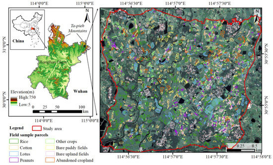 Improving Parcel-Level Mapping of Smallholder Crops from VHSR Imagery: An Ensemble Machine ...