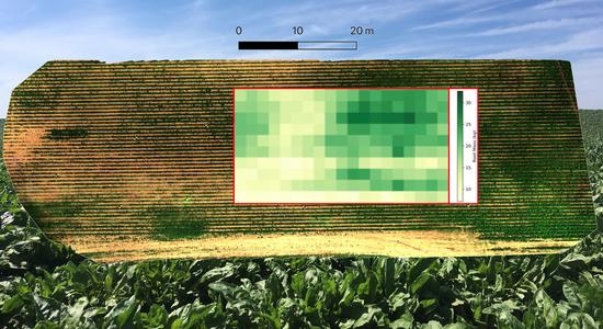 Remote Sensing Free Full Text Predicting Table Beet Root Yield With Multispectral Uas Imagery