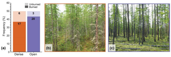 Evaluating the Differenced Normalized Burn Ratio for Assessing Fire ...