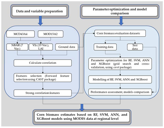Corn Biomass Estimation by Integrating Remote Sensing and Long-Term ...