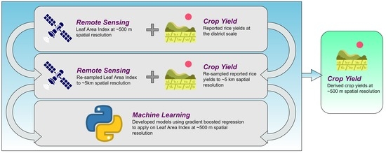 Remote Sensing | Free Full-Text | Remote Sensing Based Yield Estimation ...