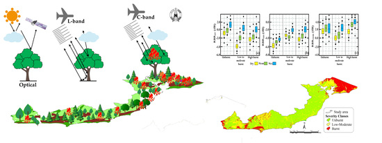 Remote Sensing | Free Full-Text | Quantitative Analysis of Forest Fires ...