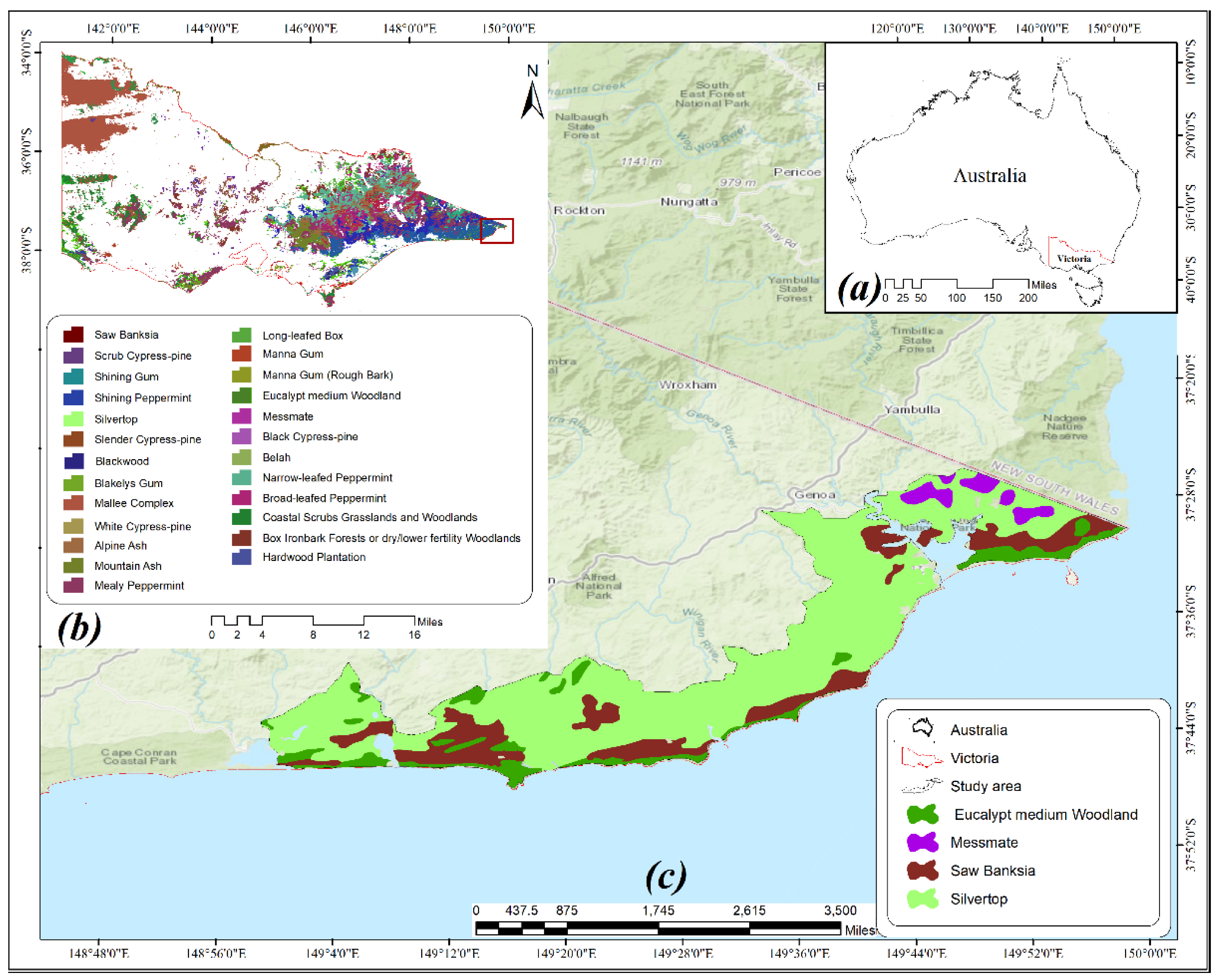 Quantitative Analysis of Forest Fires in Southeastern Australia Using ...