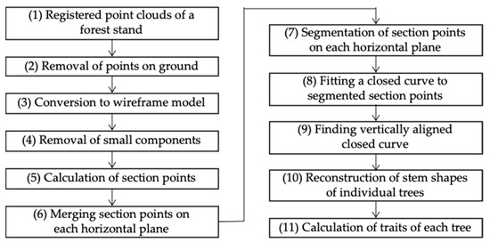 Remote Sensing | Free Full-Text | Efficient Calculation Method for Tree Stem Traits from Large ...