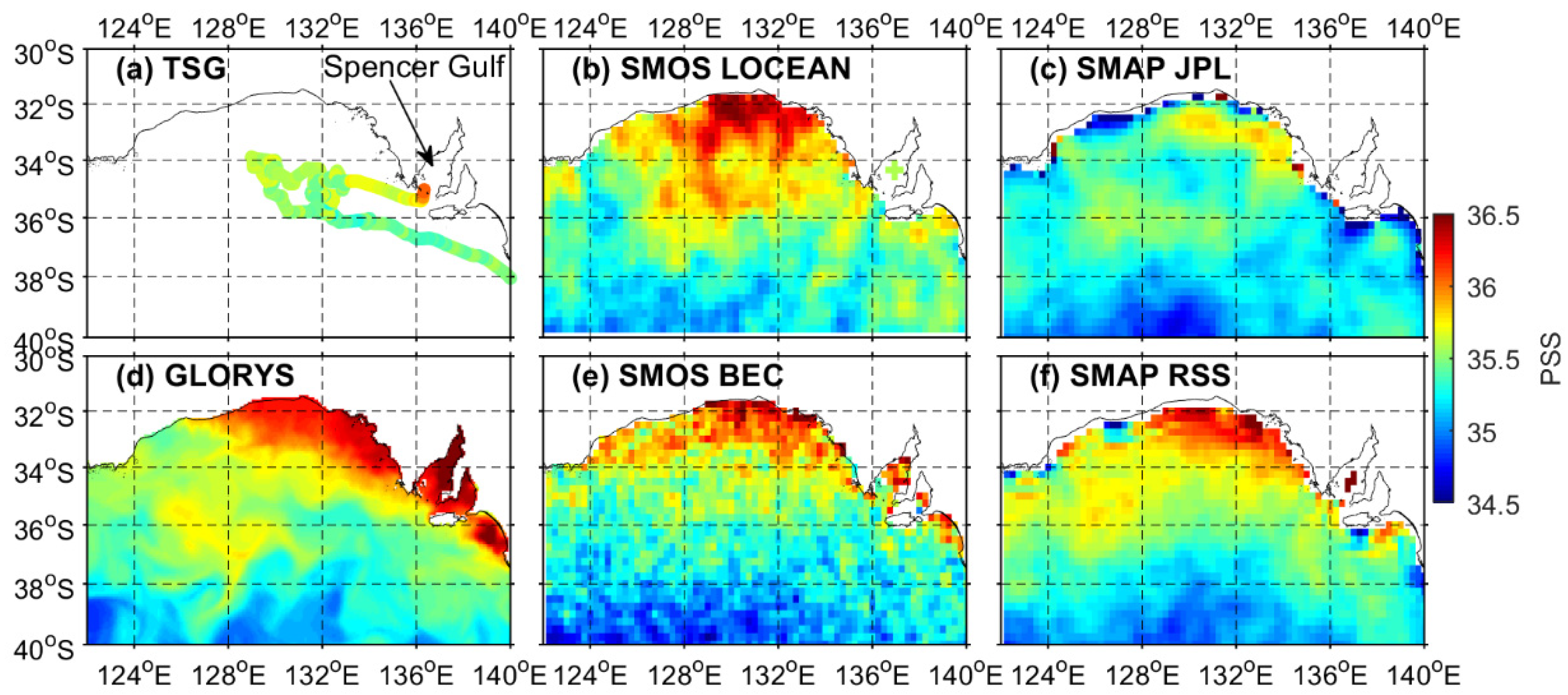 Global Analysis of Coastal Gradients of Sea Surface Salinity