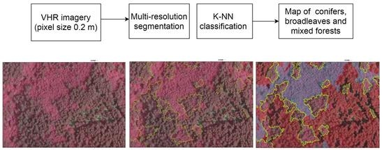 Remote Sensing Free Full Text Object Oriented Classification For Mapping Mixed And Pure