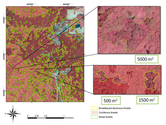 Object Oriented Classification For Mapping Mixed And Pure Forest Stands Using Very High