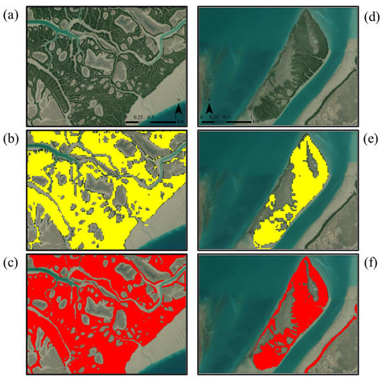 Mangrove Ecosystem Mapping Using Sentinel 1 And Sentinel 2 Satellite Images And Random Forest