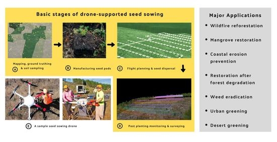 Remote Sensing | Free Full-Text | UAV-Supported Forest Regeneration ...