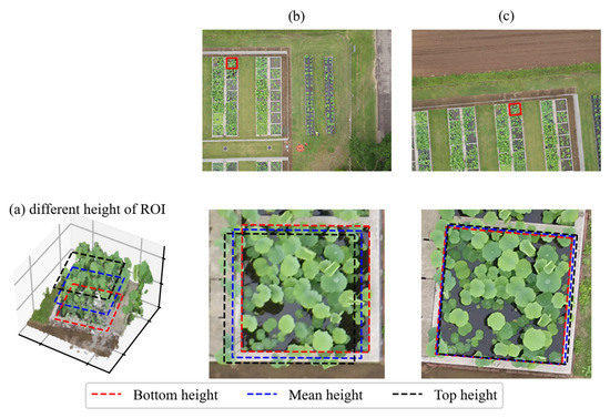 Remote Sensing | Free Full-Text | EasyIDP: A Python Package for ...