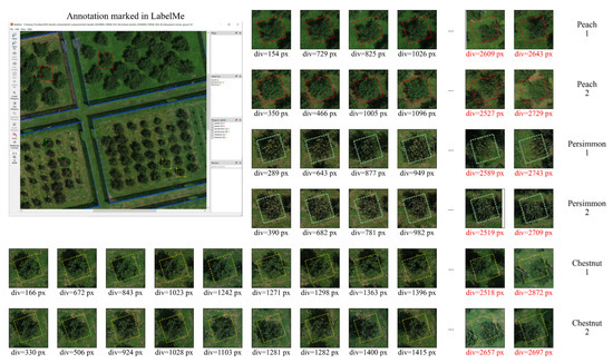 Remote Sensing | Free Full-Text | EasyIDP: A Python Package for ...