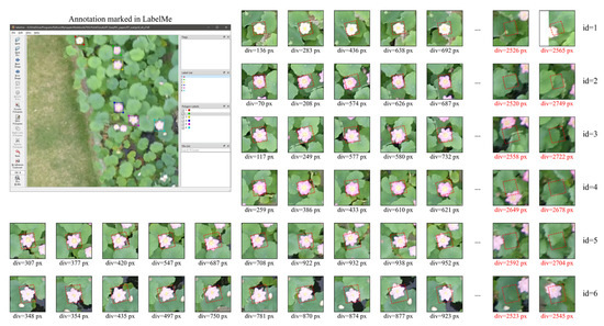 Remote Sensing | Free Full-Text | EasyIDP: A Python Package for ...