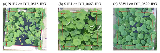 Remote Sensing | Free Full-Text | EasyIDP: A Python Package for ...