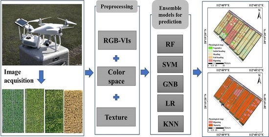 Remote Sensing | Free Full-Text | Improved Accuracy of Phenological ...
