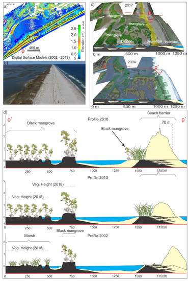 Effects of Beach Nourishment Project on Coastal Geomorphology and ...