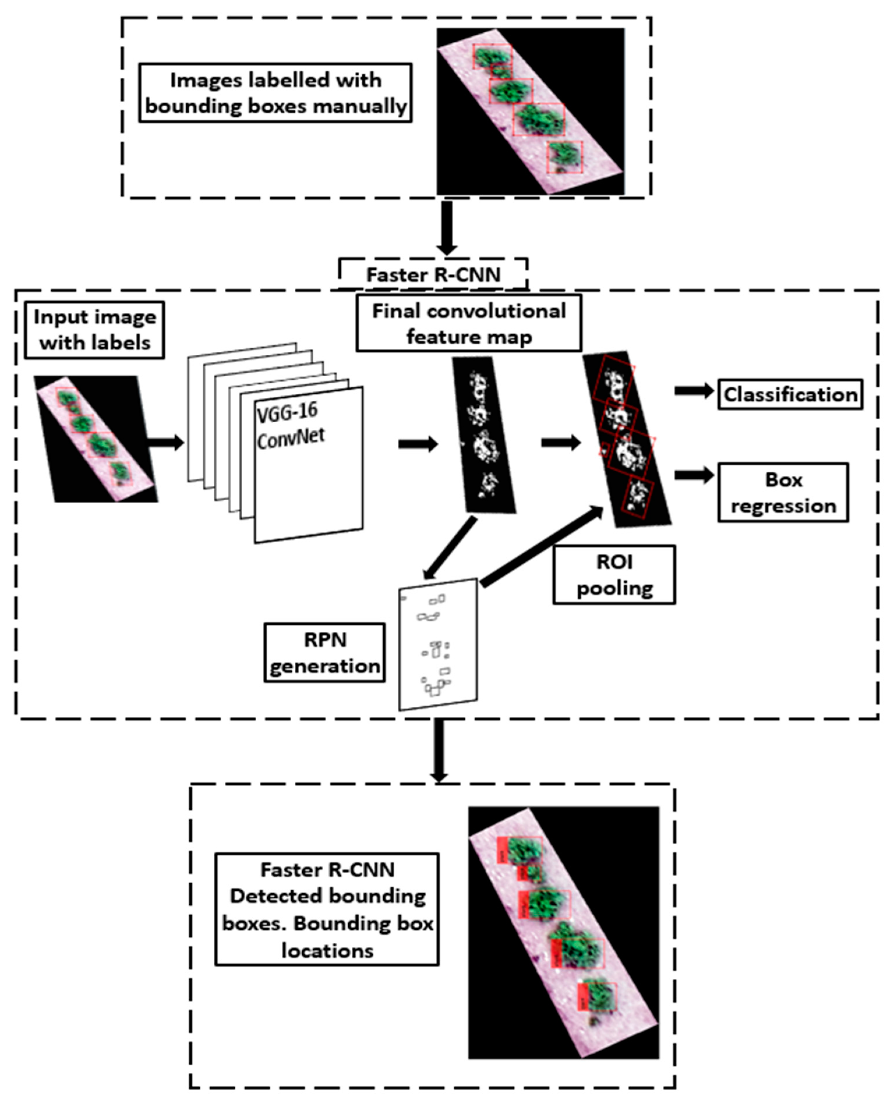 Remote Sensing | Free Full-Text | Mapping Potato Plant Density ...