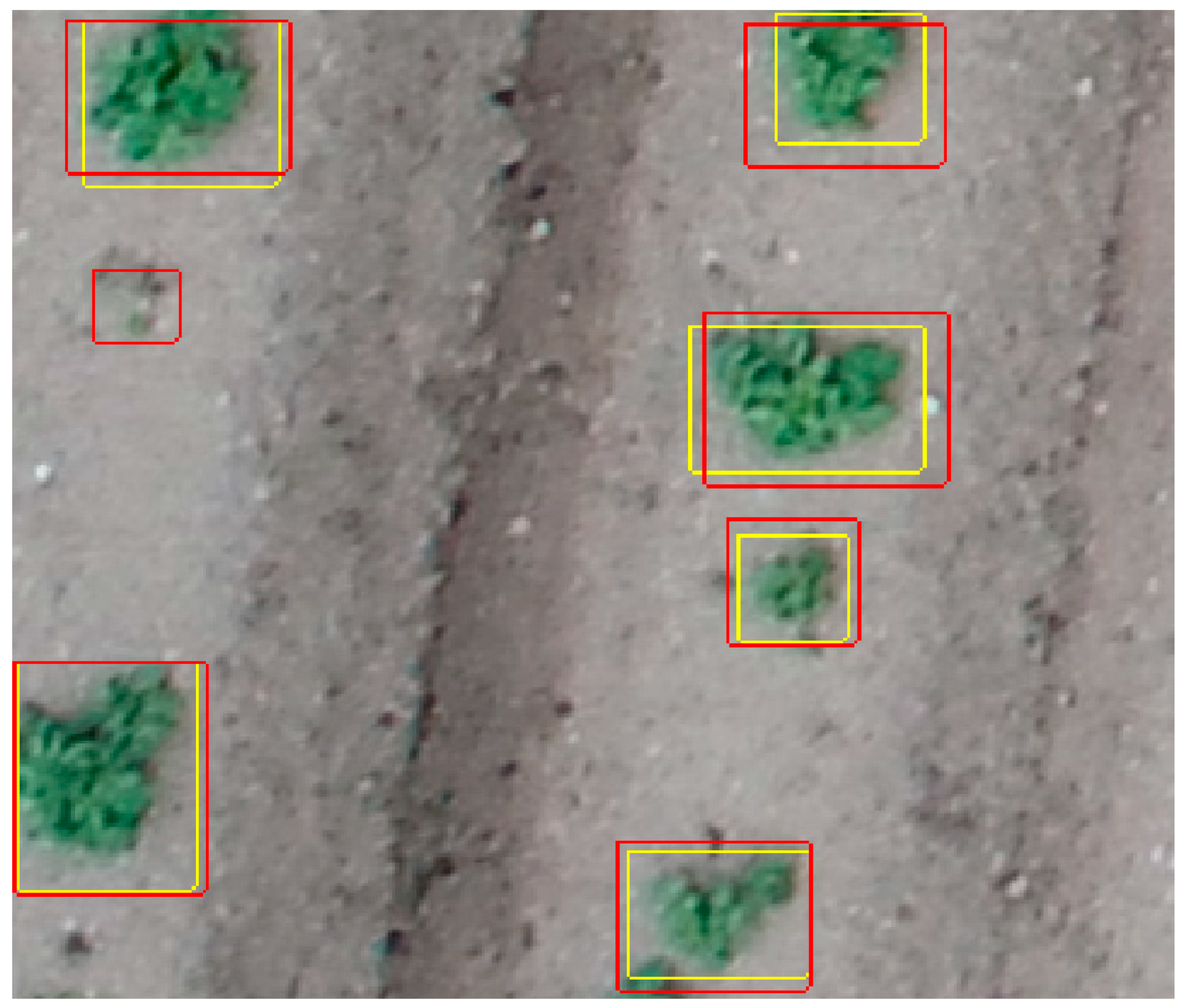 Mapping Potato Plant Density Variation Using Aerial Imagery and Deep ...