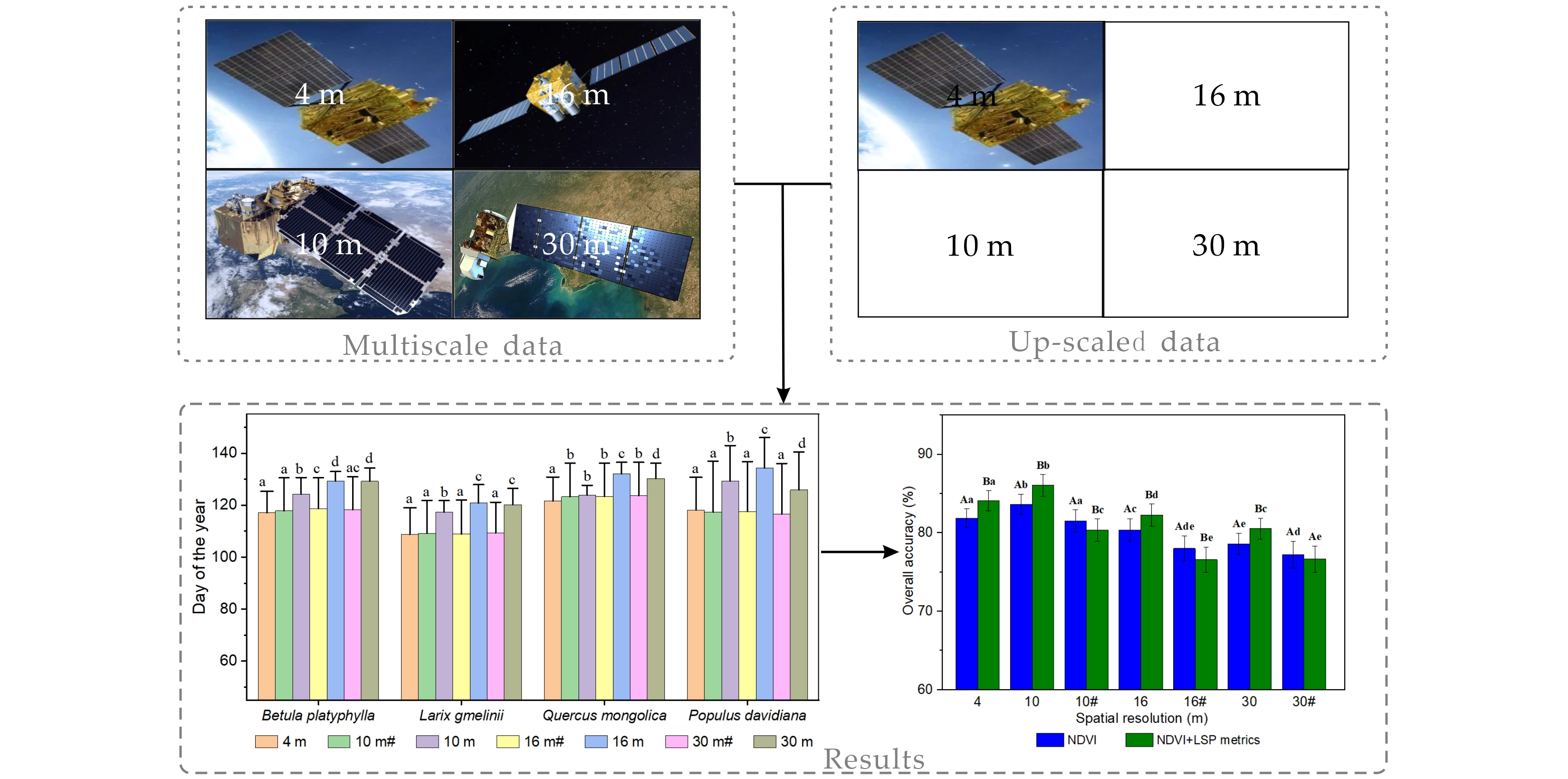 Remote Sensing Free Full Text How Spatial Resolution Affects Forest Phenology And Tree