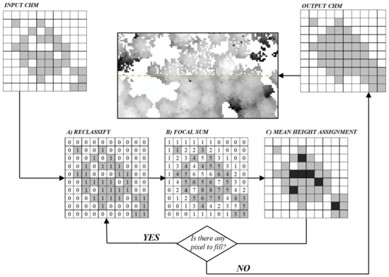 Remote Sensing Free Full Text Parameterization Of The Individual Tree Detection Method Using