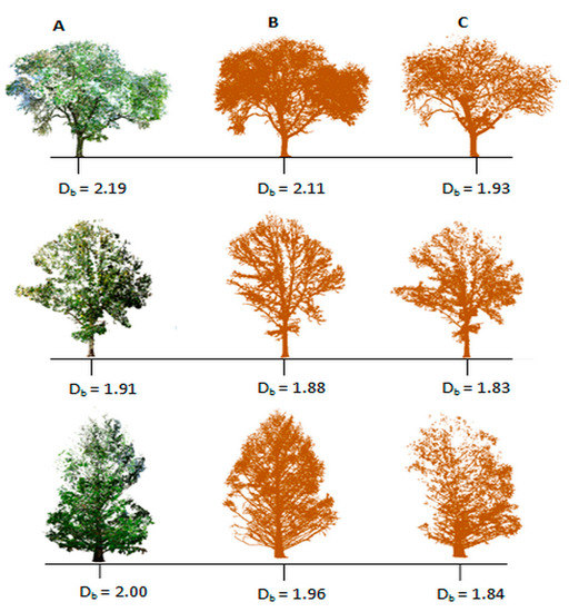 Measuring the Contribution of Leaves to the Structural Complexity of ...
