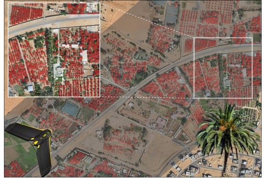 Remote Sensing Free Full Text Deep Convolutional Neural Network For Large Scale Date Palm