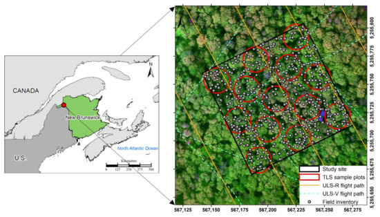 Estimation of Northern Hardwood Forest Inventory Attributes Using UAV ...