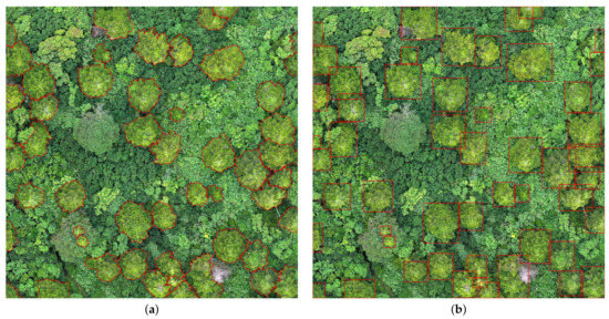 Remote Sensing | Free Full-Text | Deep Learning in Forestry Using UAV ...