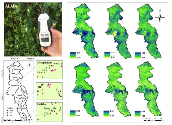 Remote Sensing | Free Full-Text | Leaf Area Index Variations in ...
