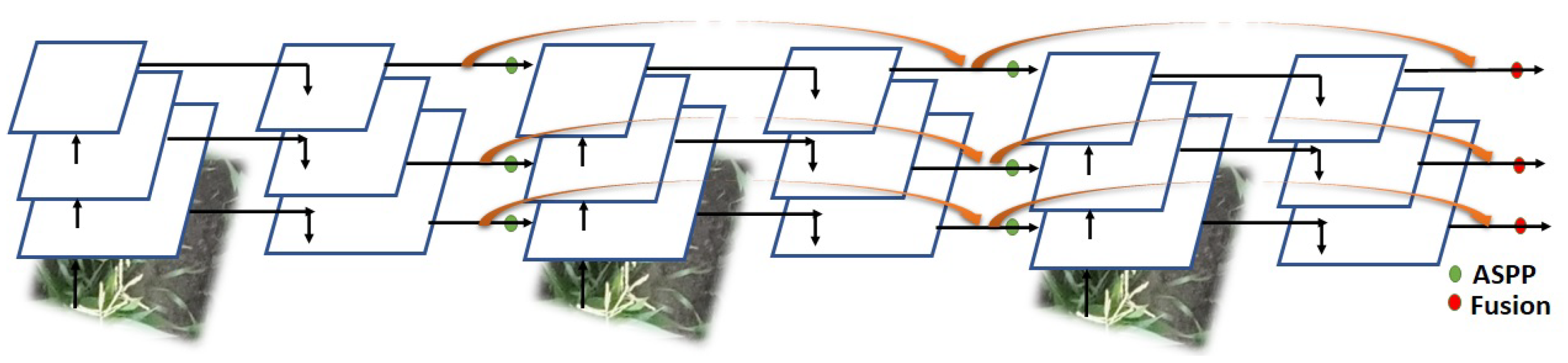Advancing Tassel Detection and Counting: Annotation and Algorithms