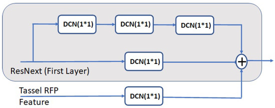 Remote Sensing | Free Full-Text | Advancing Tassel Detection and Counting: Annotation and Algorithms