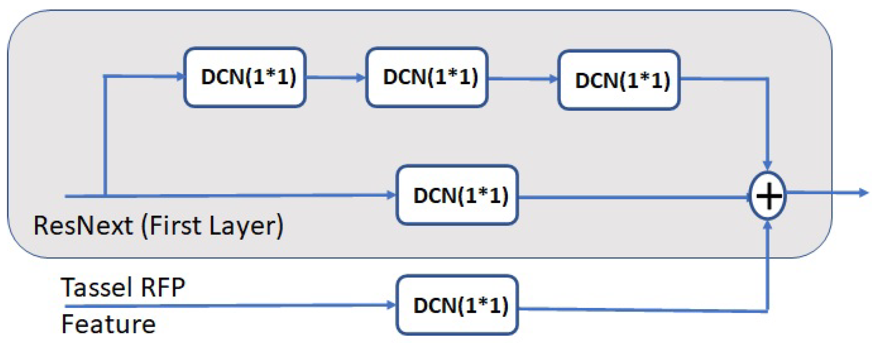 Advancing Tassel Detection and Counting: Annotation and Algorithms
