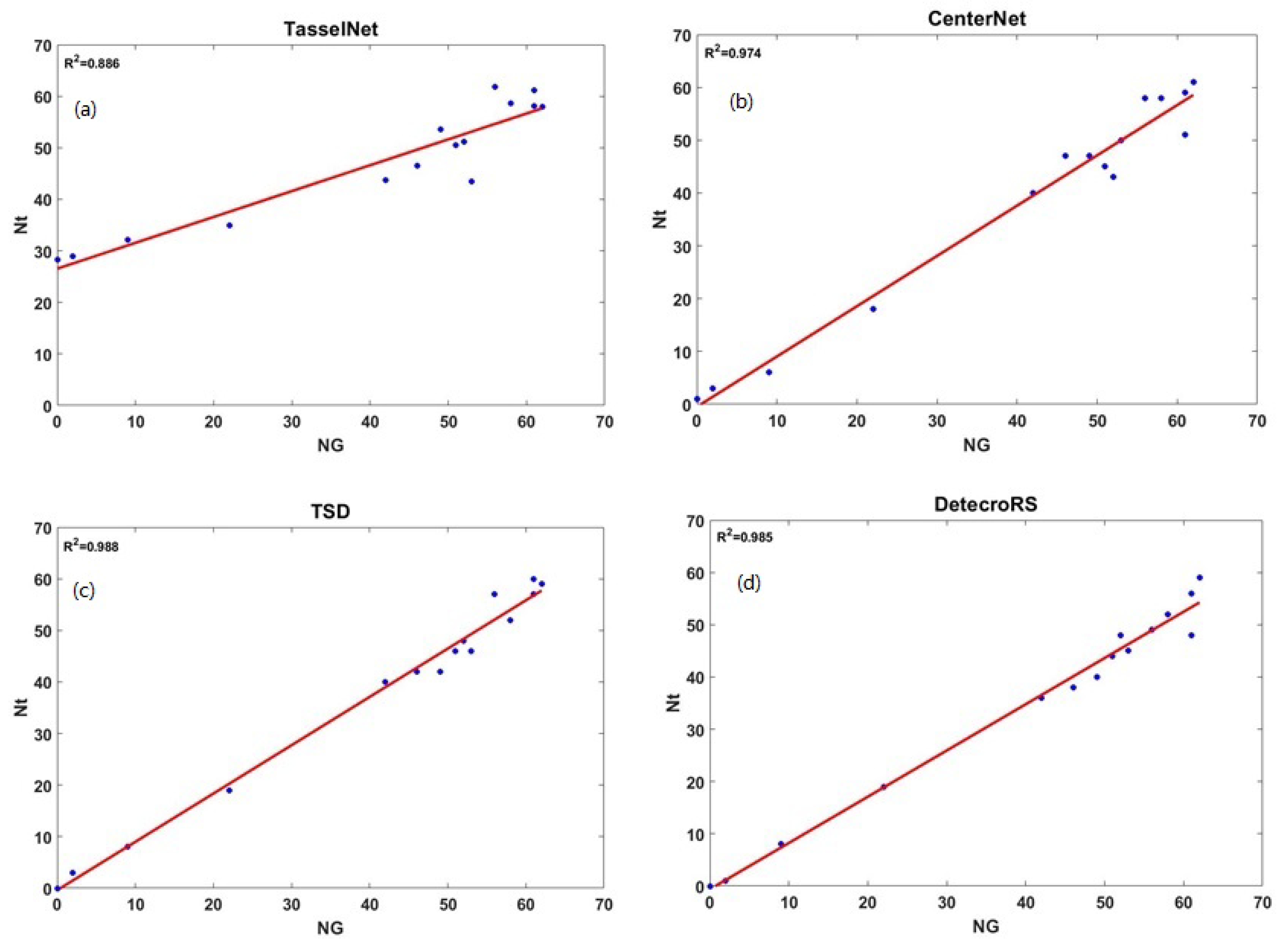 Advancing Tassel Detection and Counting: Annotation and Algorithms